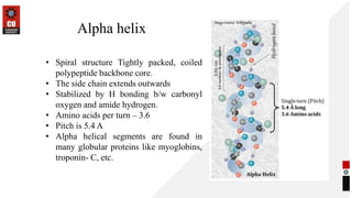 structure of proteins and its type I PPT | PPT