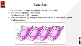 structure of proteins and its type I PPT | PPT