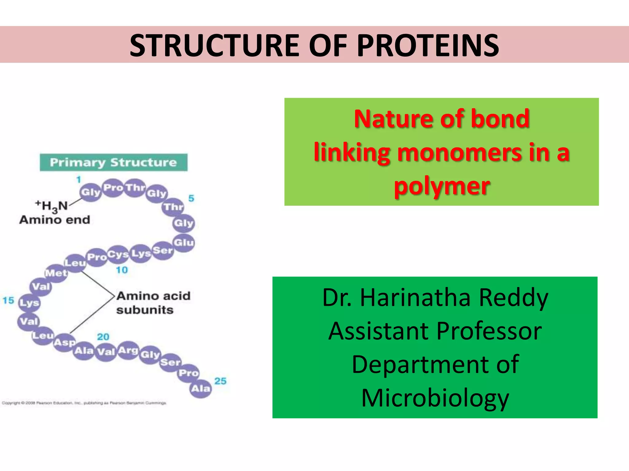 Structure of proteins and nature of bond linking monomers in a polymer | PPT