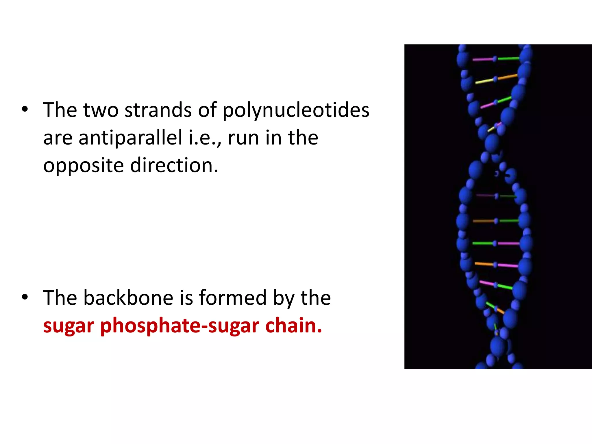Structure of proteins and nature of bond linking monomers in a polymer ...