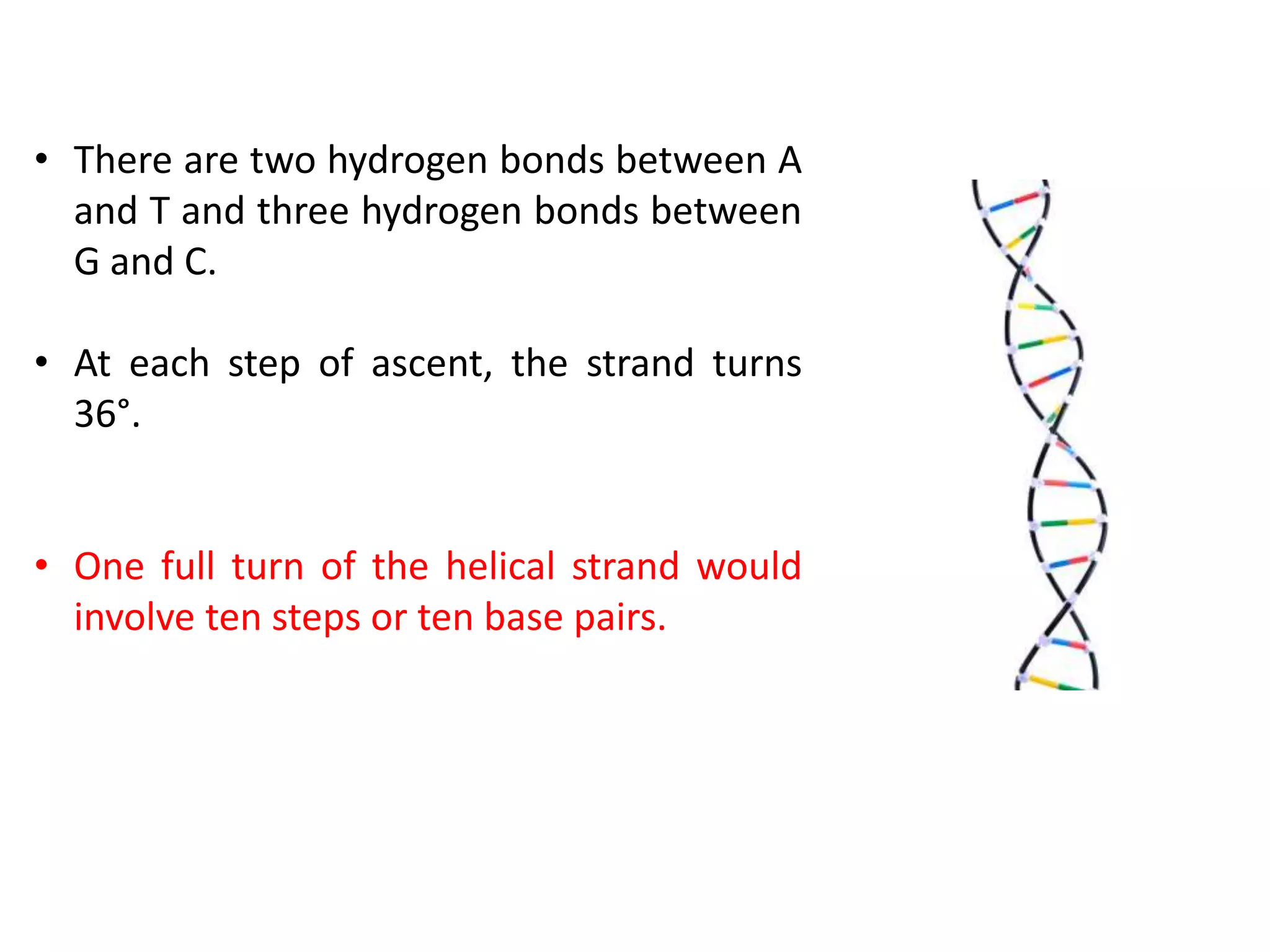 Structure of proteins and nature of bond linking monomers in a polymer ...