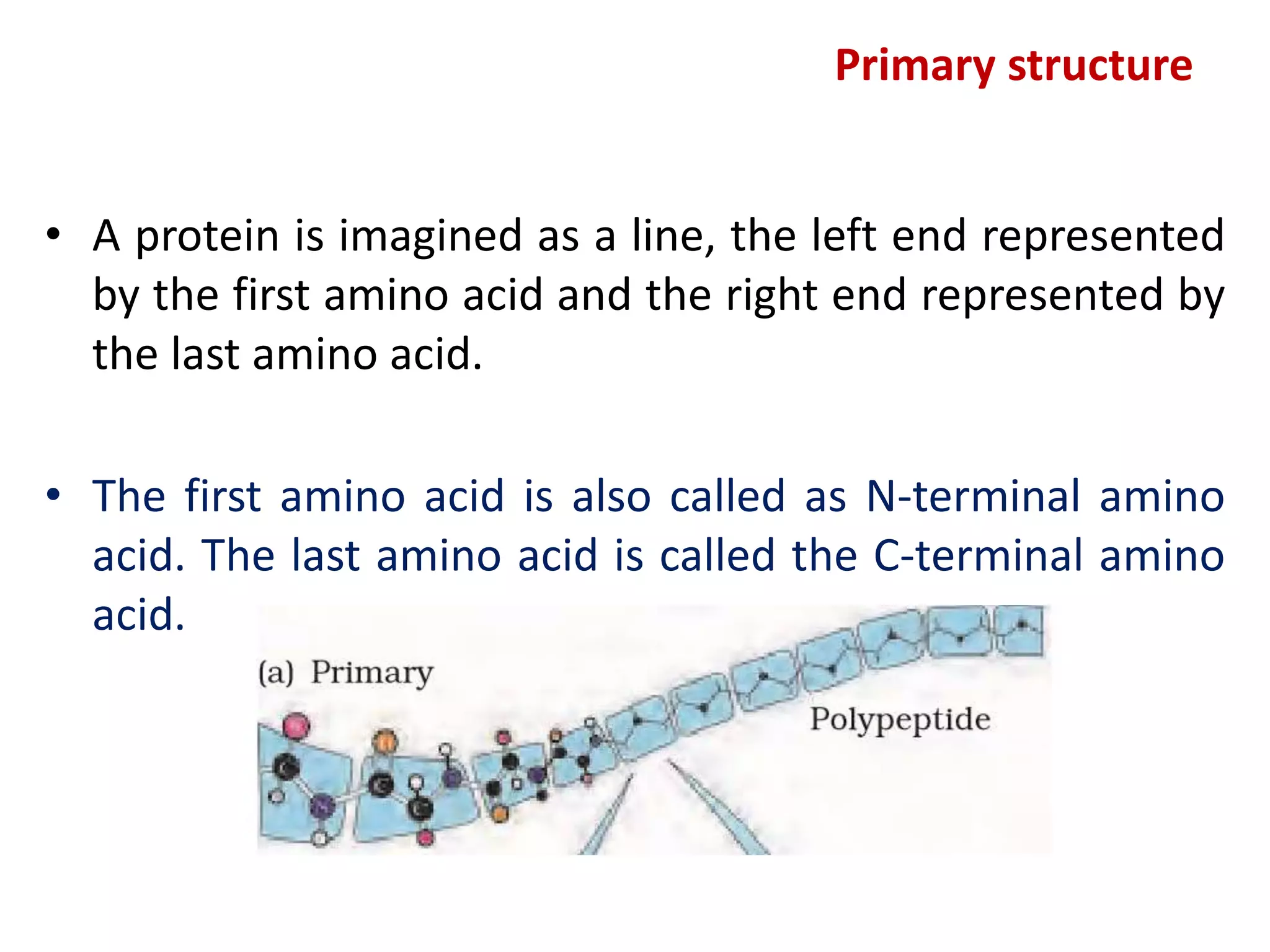 Structure of proteins and nature of bond linking monomers in a polymer ...