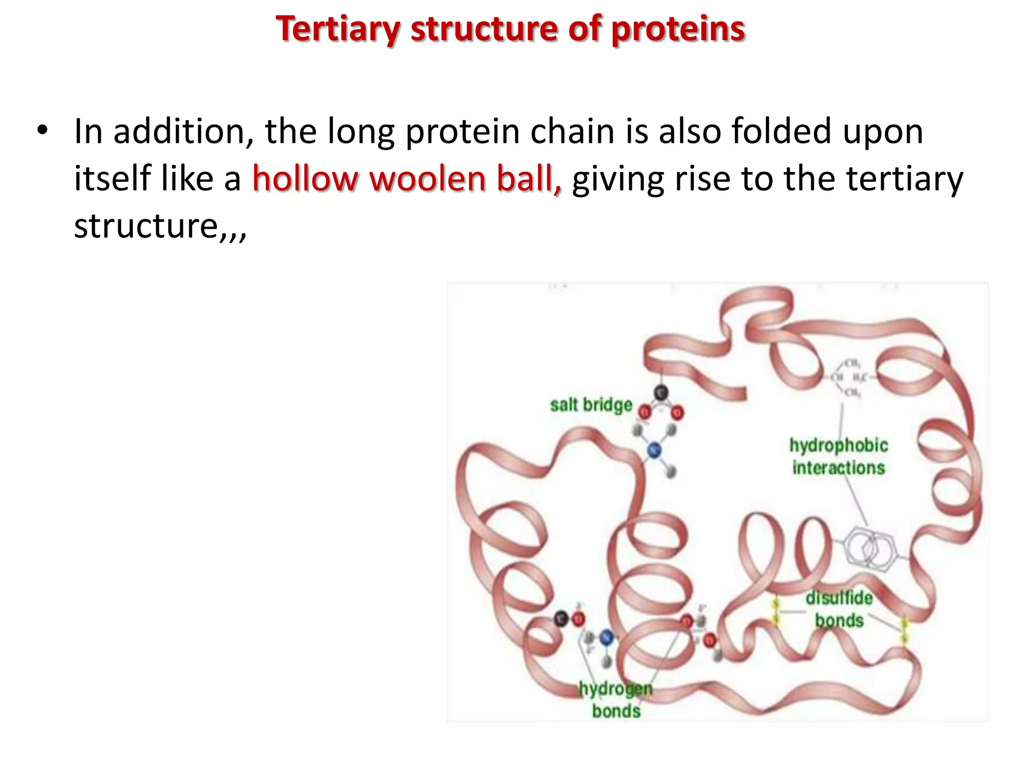 Structure of proteins and nature of bond linking monomers in a polymer ...