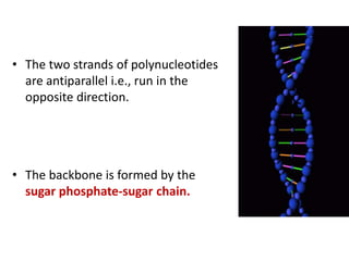 Structure of proteins and nature of bond linking monomers in a polymer ...
