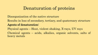 Structure of Proteins, Properties of Proteins, and Denaturation of ...