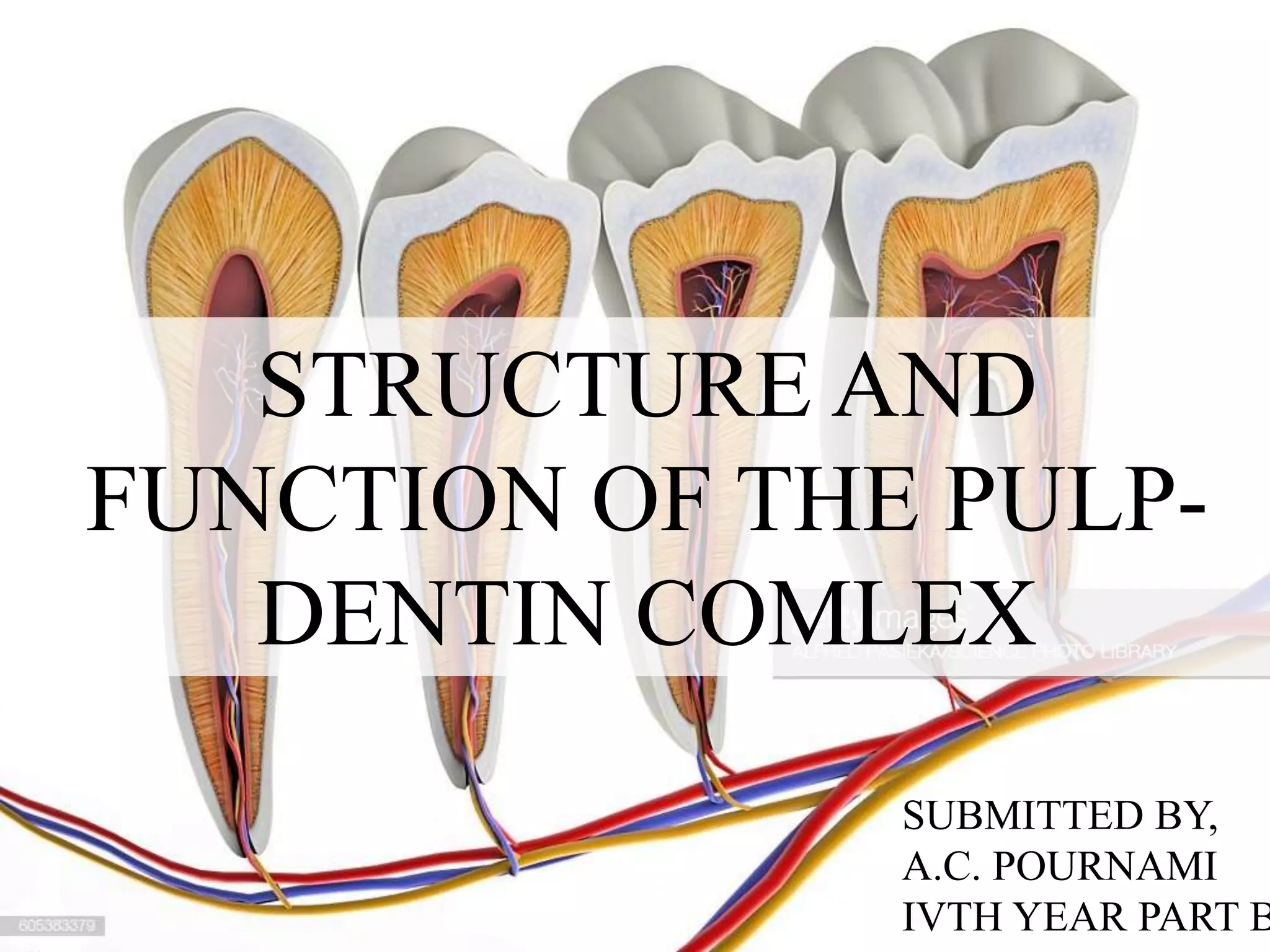 Structure and function of of Pulp-Dentin complex | PPTX