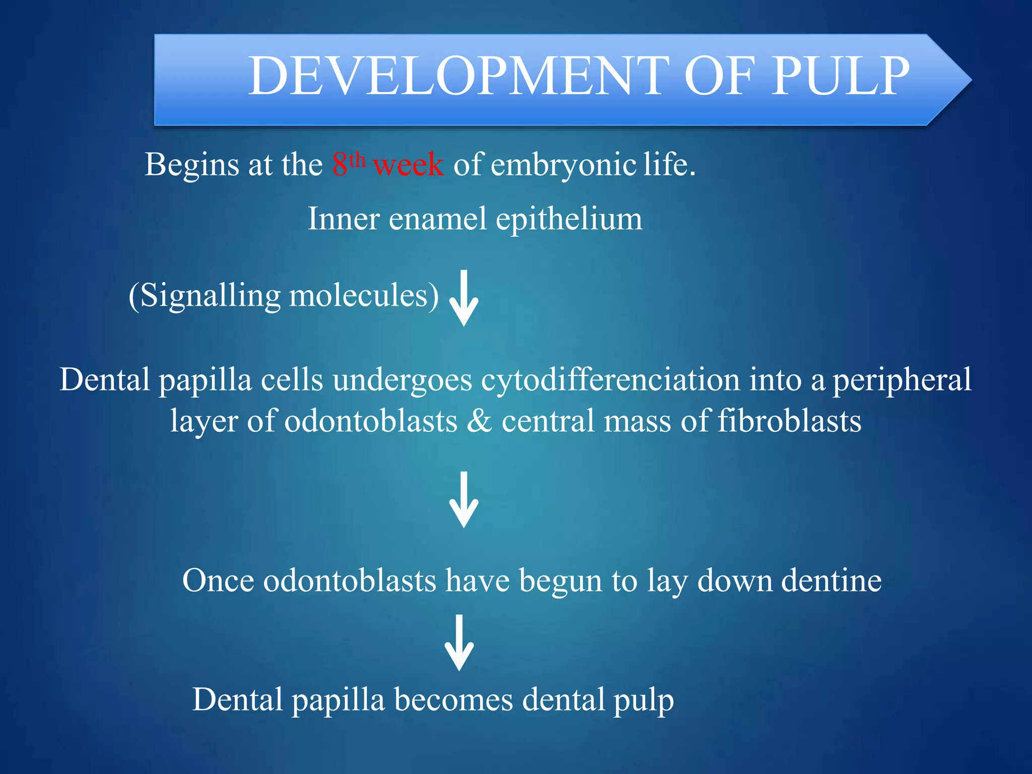 Structure and function of of Pulp-Dentin complex | PPTX