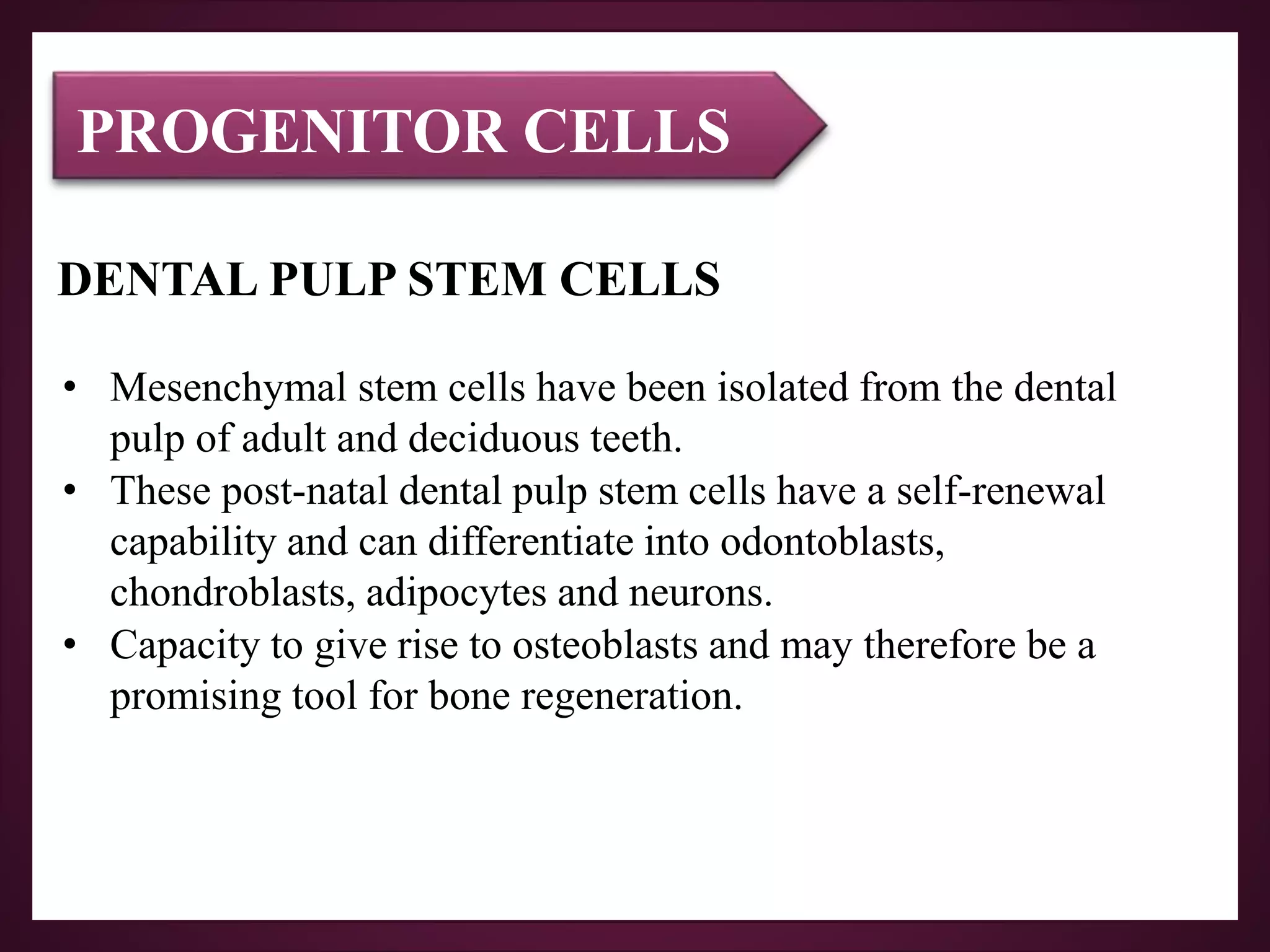 Structure and function of of Pulp-Dentin complex | PPTX
