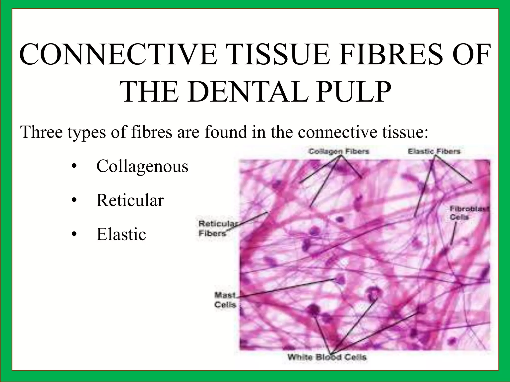 Structure and function of of Pulp-Dentin complex | PPTX