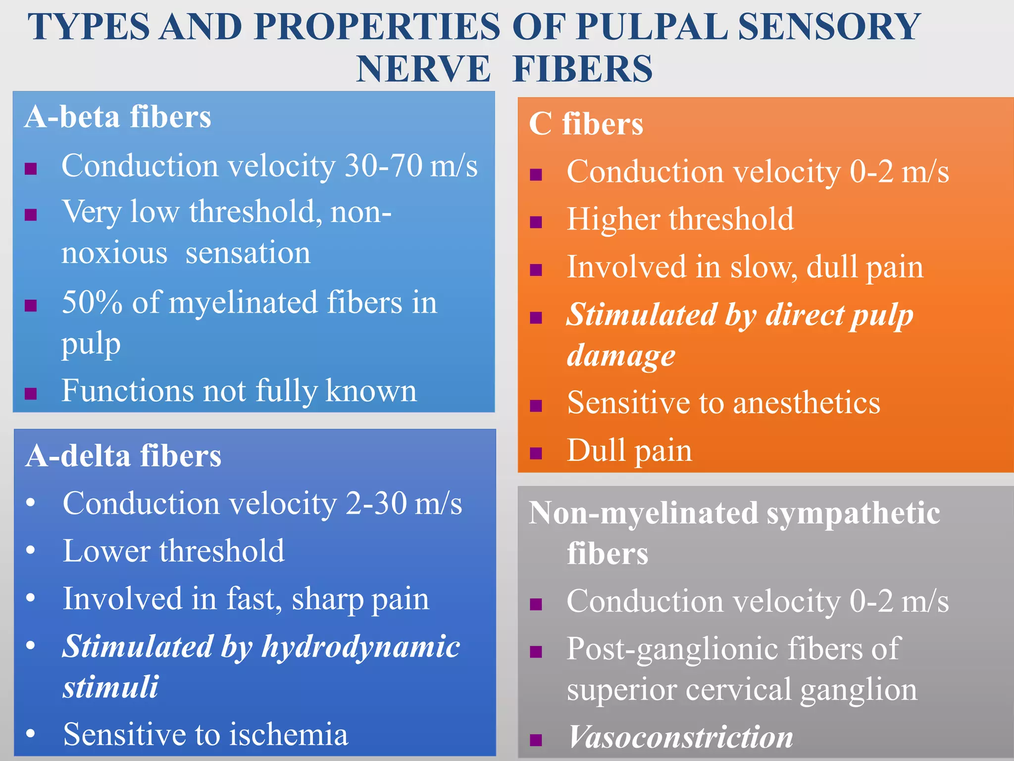 Structure and function of of Pulp-Dentin complex | PPTX