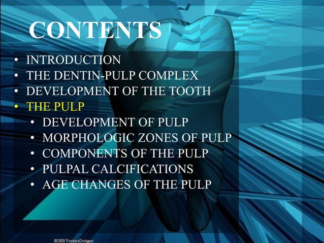 Structure and function of of Pulp-Dentin complex | PPTX