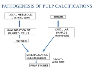 Structure and function of of Pulp-Dentin complex | PPTX