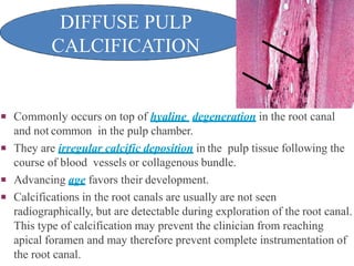 Structure and function of of Pulp-Dentin complex | PPTX