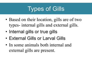 Structure of respiratory organs | PDF