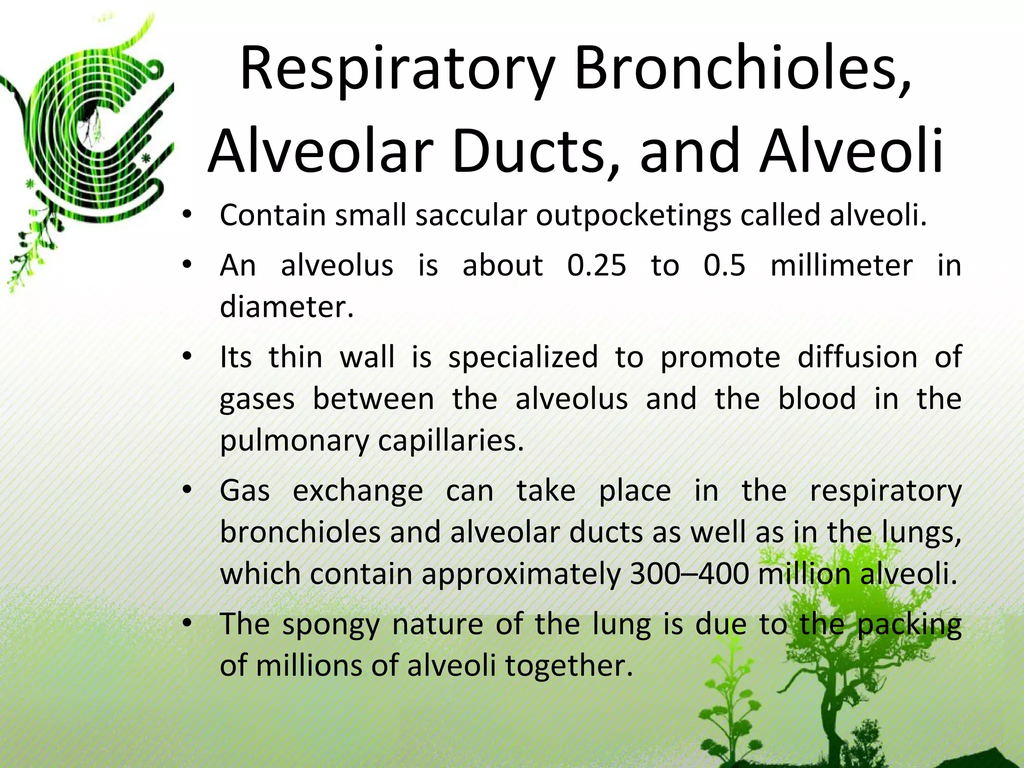 Structure of respiratory system | PPT
