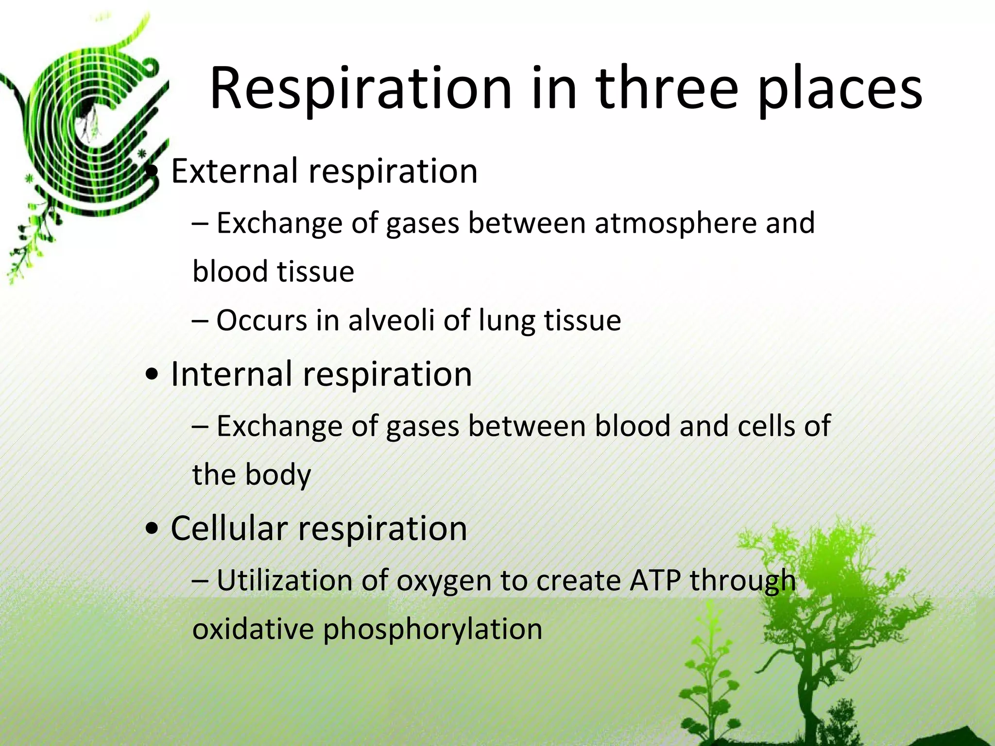 Structure of respiratory system | PPT