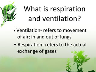Structure of respiratory system | PPT