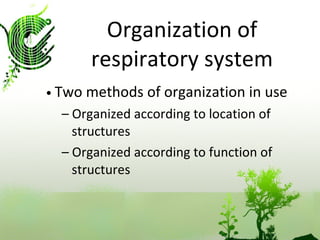Structure of respiratory system | PPT