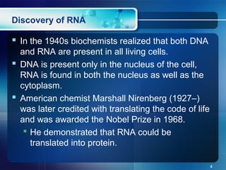 Structure of RNA | PPT