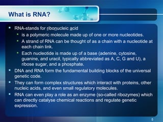 Structure of RNA | PPT