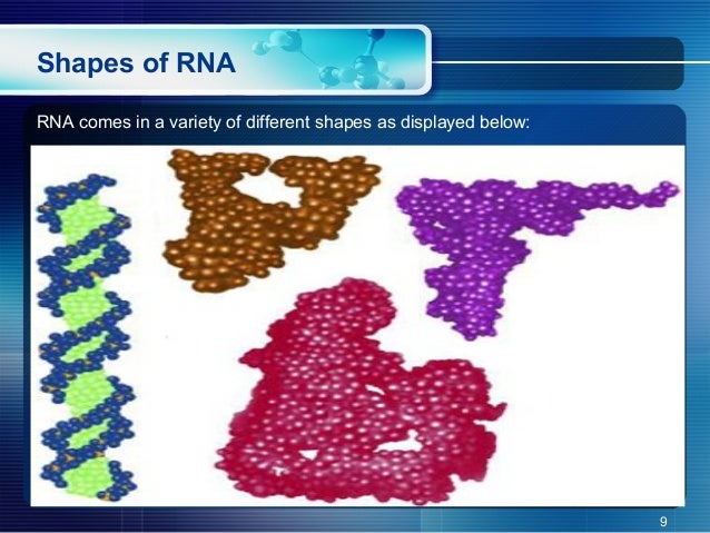 Structure of RNA
