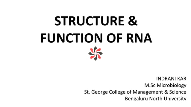 Structure and function of RNA | PPTX | Genetics | Science
