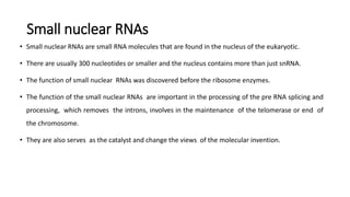 Structure and function of RNA | PPTX