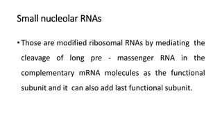 Structure and function of RNA | PPTX