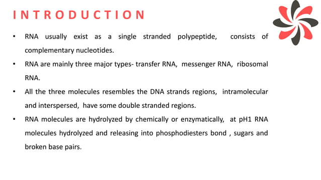 Structure and function of RNA | PPTX | Genetics | Science