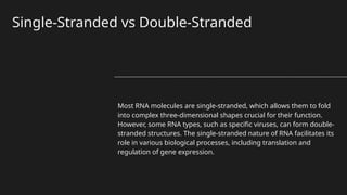 Structure of RNA.pptx full details version | PPTX