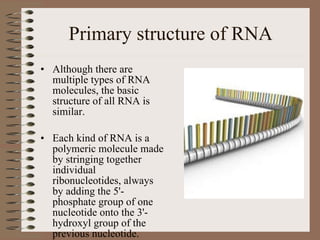 Structure of rna and its activation | PPT