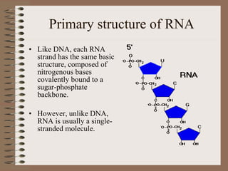 Structure of rna and its activation | PPT