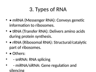 Structure_of_RNA_with_Diagram (1).pptx full | PPTX