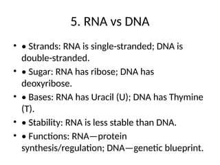 Structure_of_RNA_with_Diagram (1).pptx full | PPTX