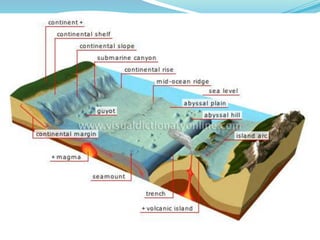 Structure of Sea floor | PPT