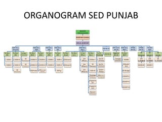 Structure of Secondary Educationin Pakistan.pptx