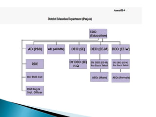 Structure of sed revised | PPTX