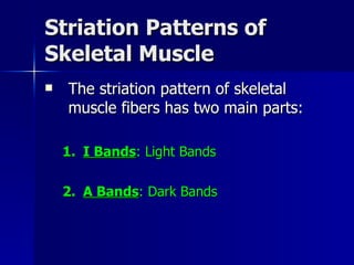 Structure of skeletal_muscle | PPT