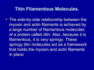 Structure of skeletal muscle | PPT