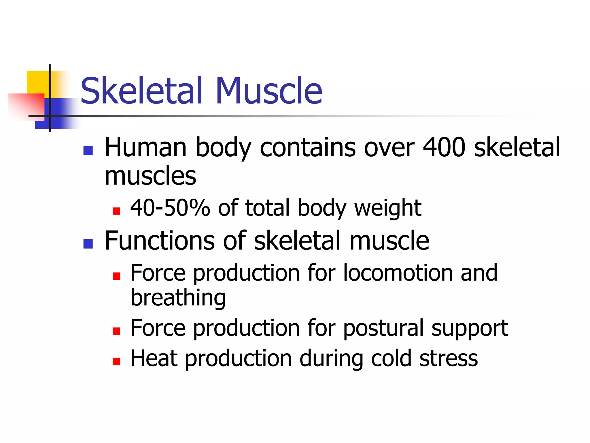 structure of skeletal muscle.ppt.pptx
