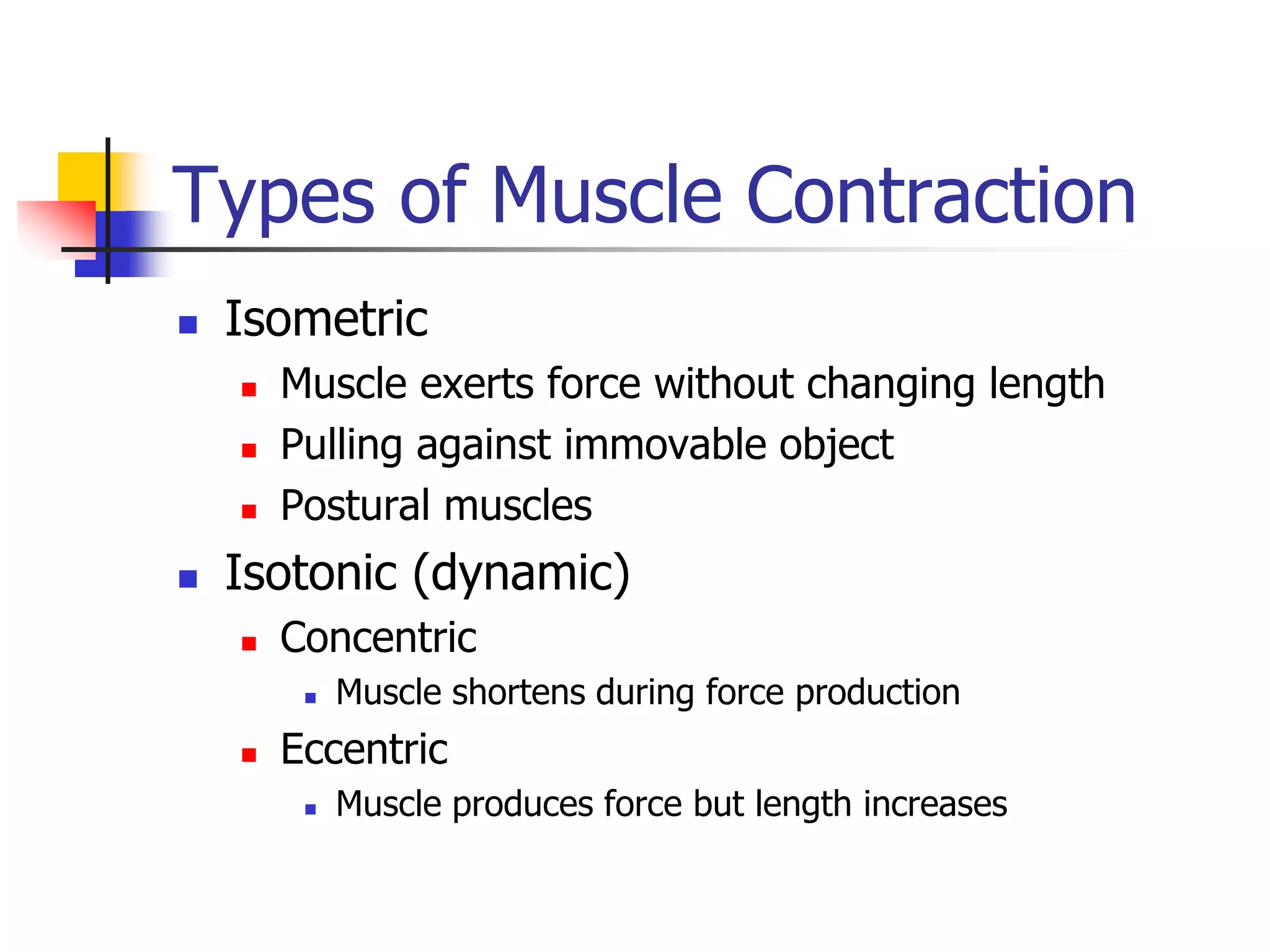 structure of skeletal muscle.ppt.pptx