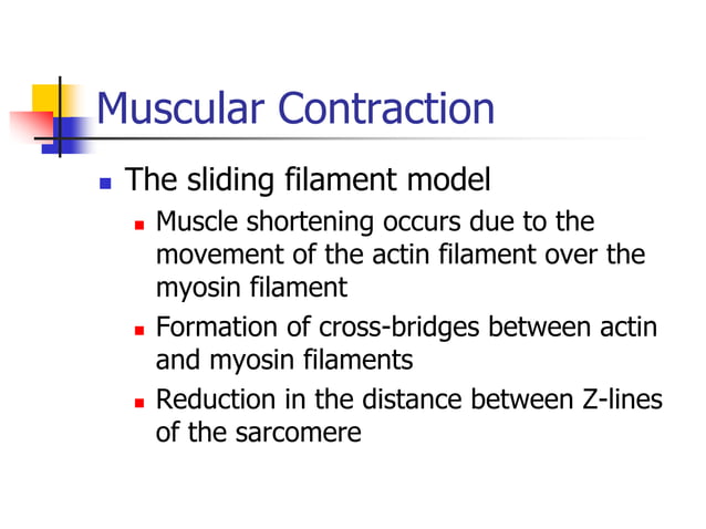 structure of skeletal muscle.ppt.pptx | Physical Therapy | Wellness