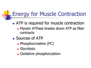 structure of skeletal muscle.ppt.pptx