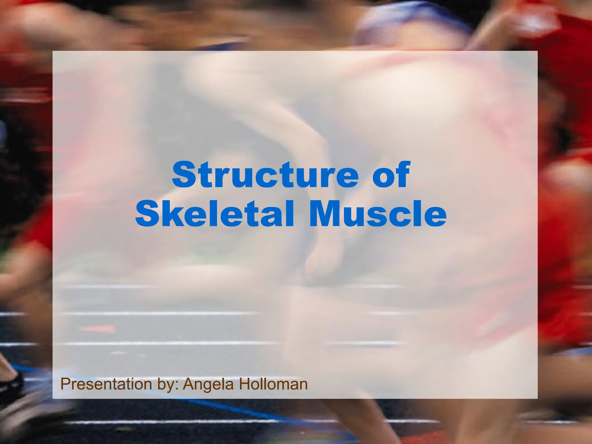 Structure of Skeletal Muscle- A short review into the anatomy. | PPT