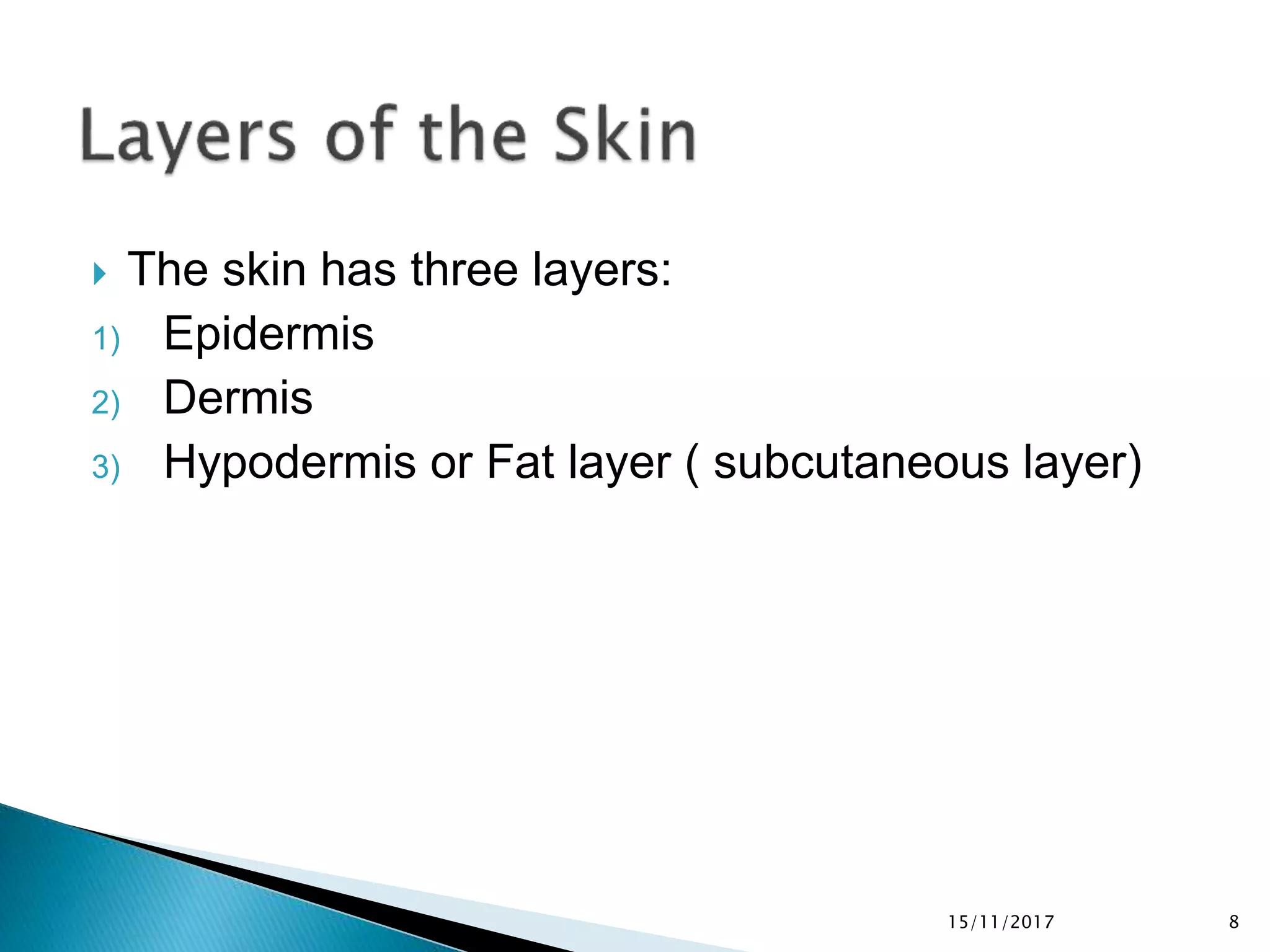 Structure of skin | PPTX