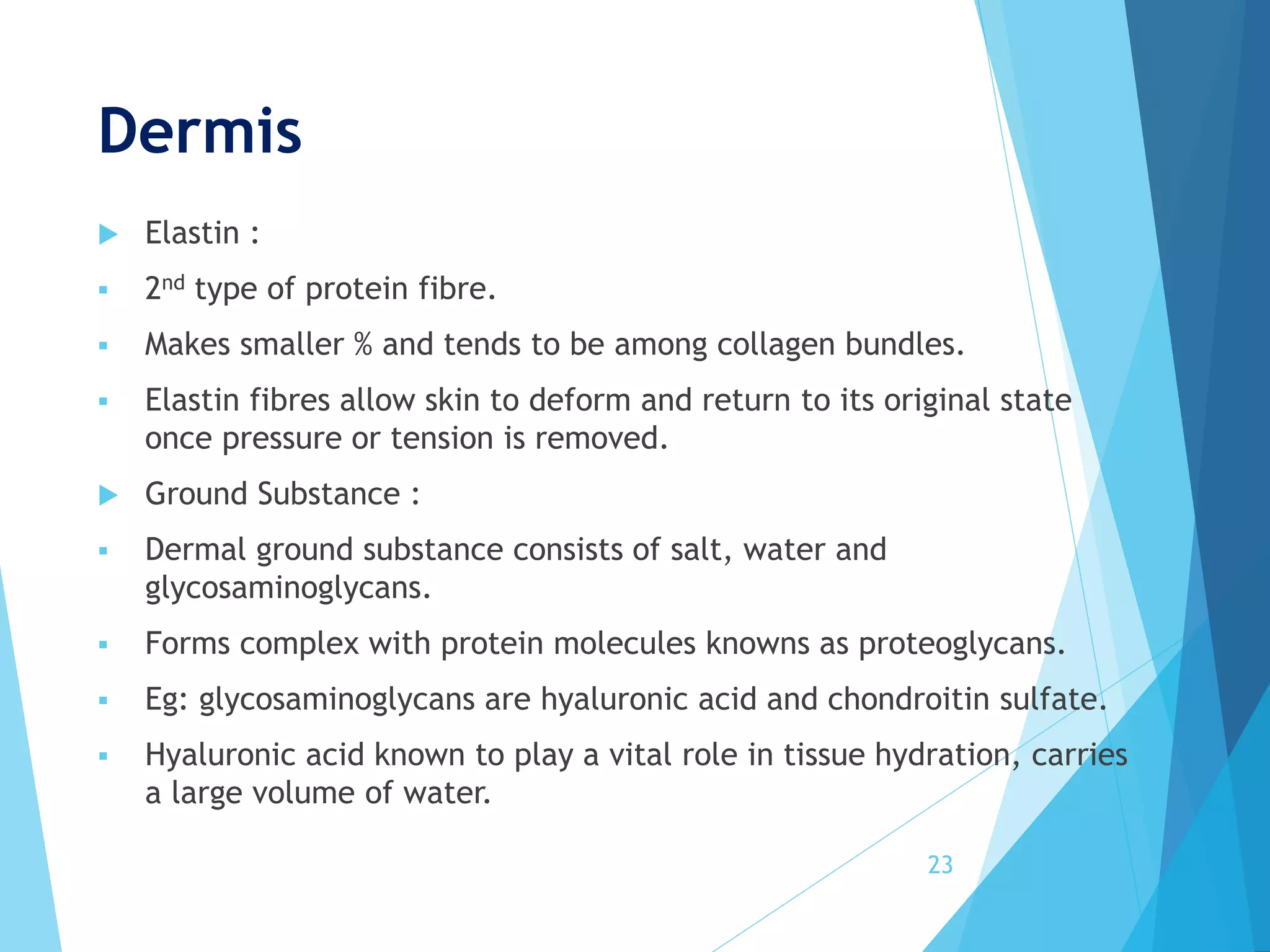 Structure of skin, Dry Skin and Acne | PPTX