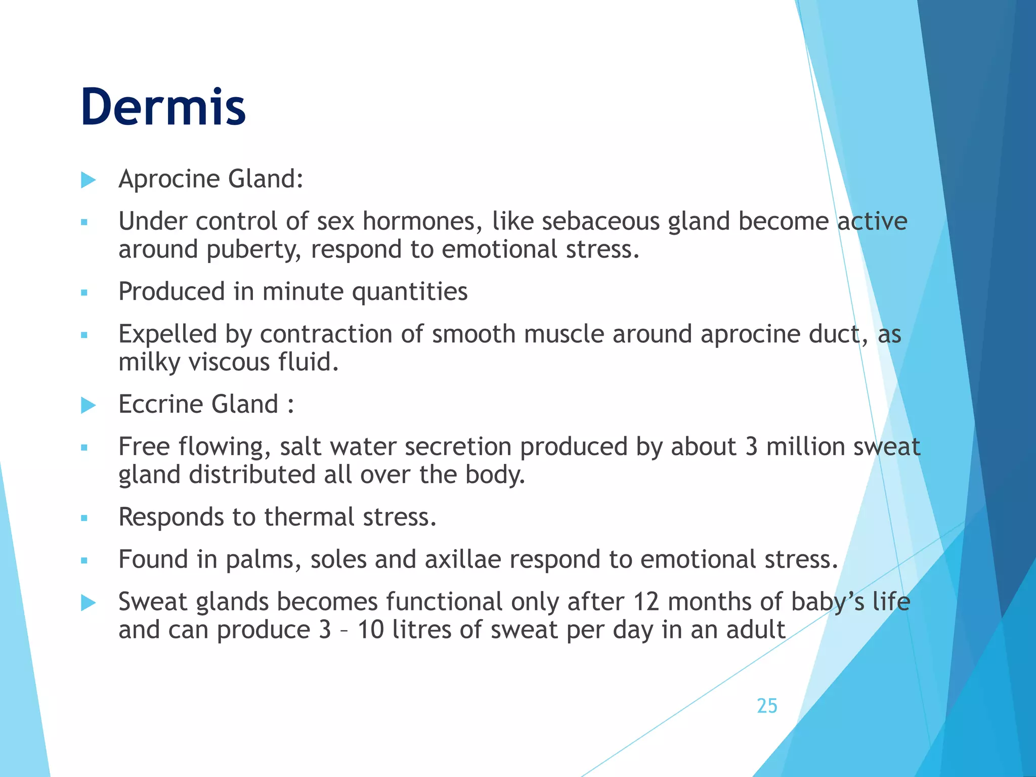 Structure of skin, Dry Skin and Acne | PPTX