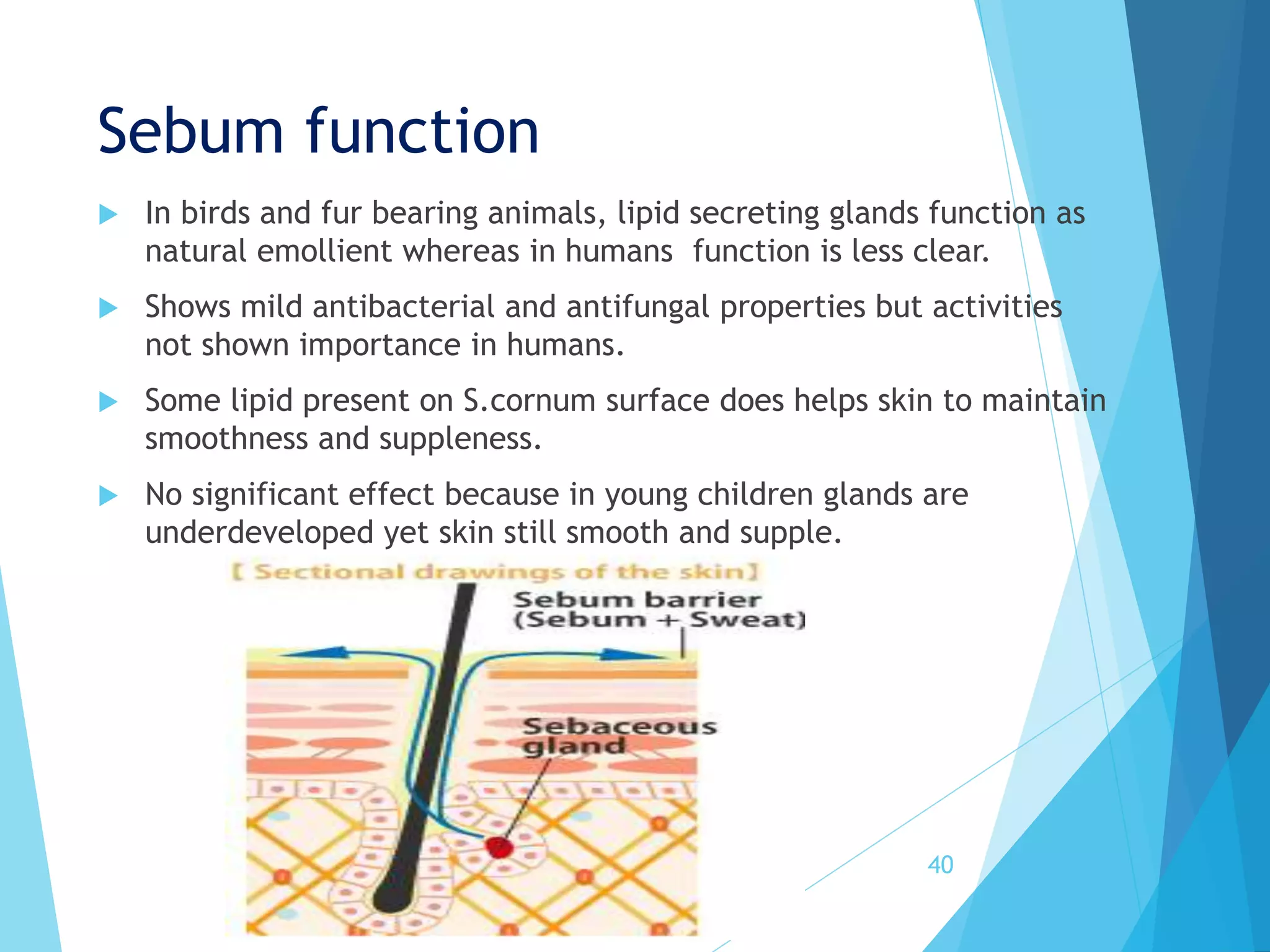 Structure of skin, Dry Skin and Acne | PPTX