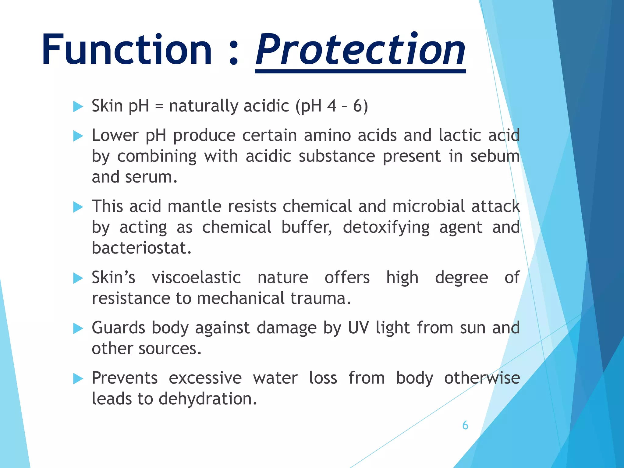 Structure of skin, Dry Skin and Acne | PPTX