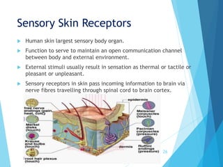 Structure of skin, Dry Skin and Acne | PPTX